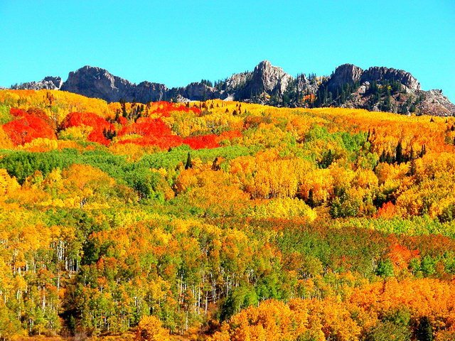 Colorado Unit G11 Unit Profile // GOHUNT. The Hunting Company