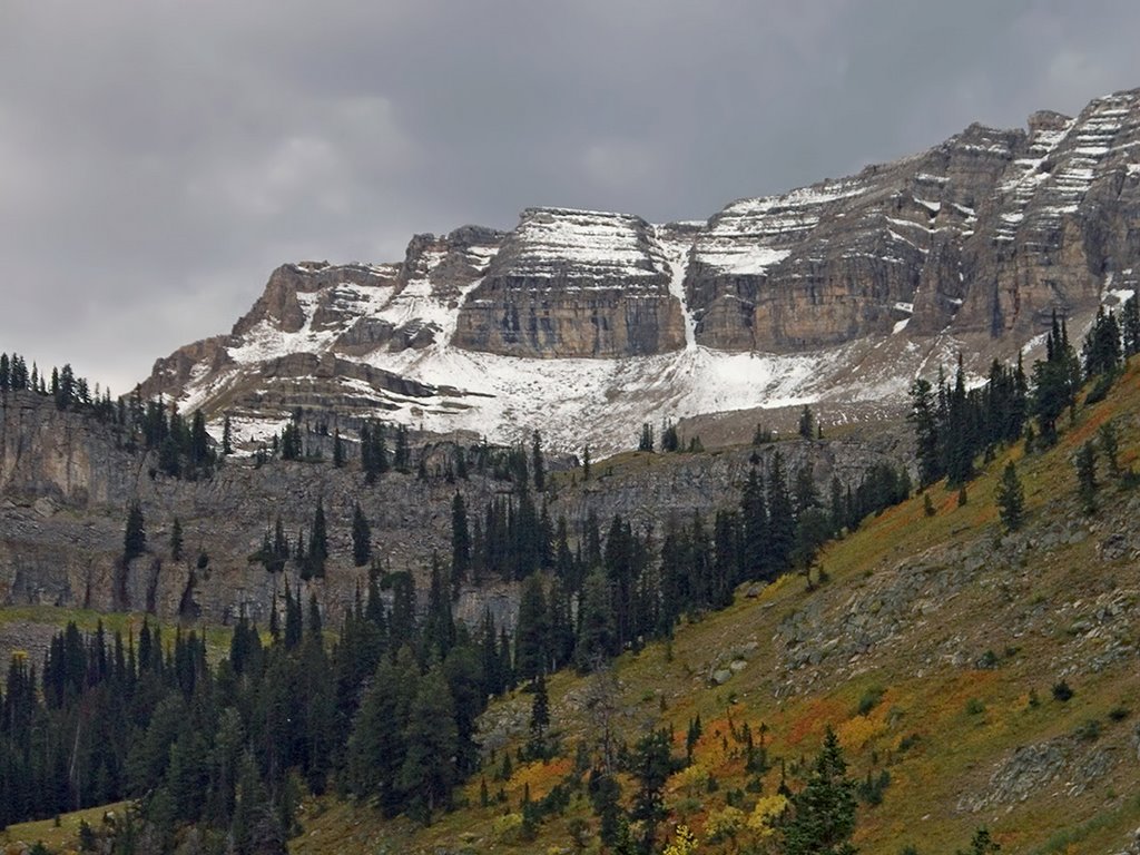 Idaho Unit 65 Unit Profile // GOHUNT. The Hunting Company