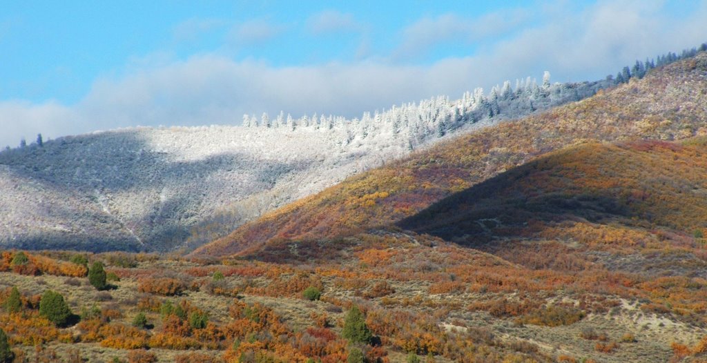 Utah Wasatch Mtns Unit Profile // GOHUNT. The Hunting Company