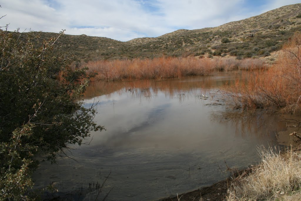 Arizona Unit 44A Unit Profile // GOHUNT. The Hunting Company