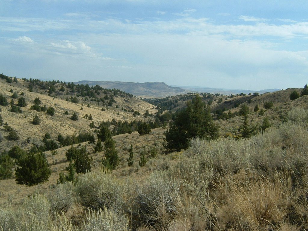 Oregon Unit 66 - Malheur River Unit Profile - 22 Hunters are talking ...