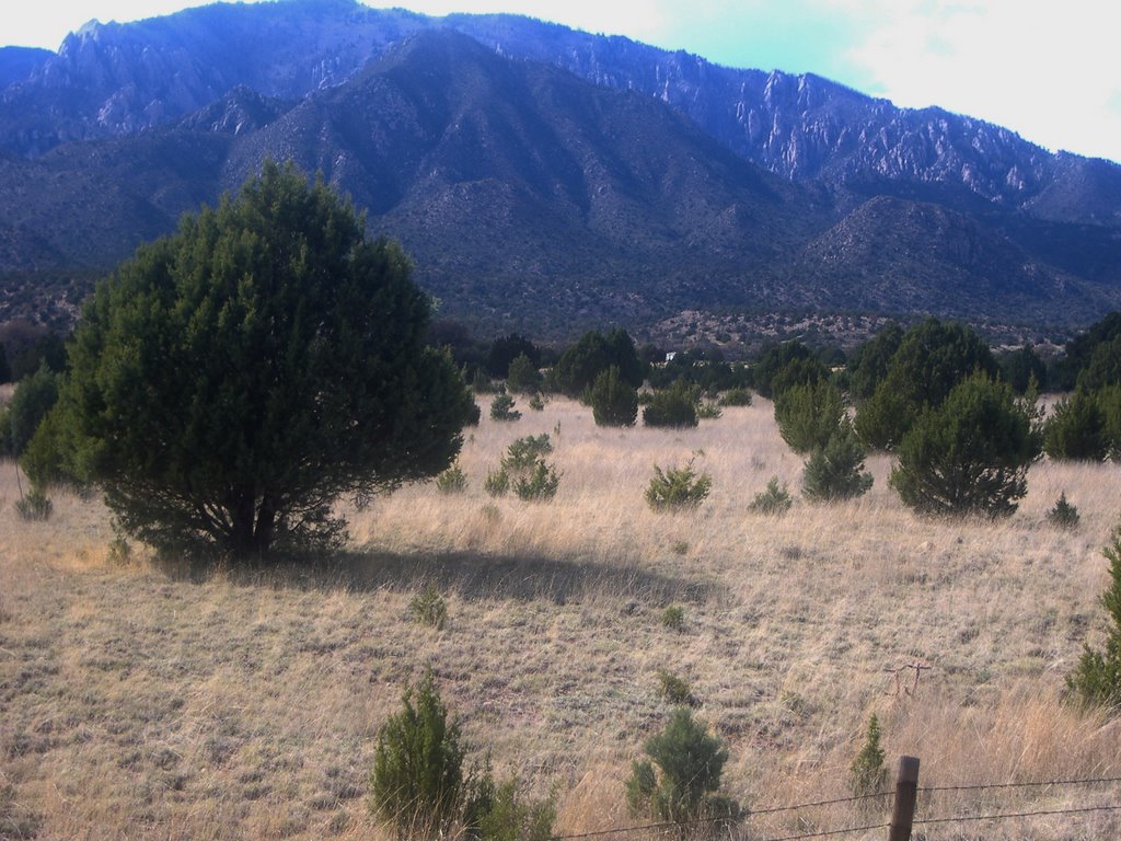 New Mexico Unit 37 Unit Profile // GOHUNT. The Hunting Company