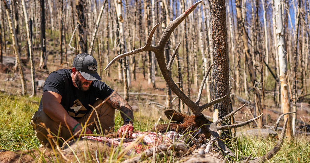 How to care for wild game meat in the field and get it home safely ...