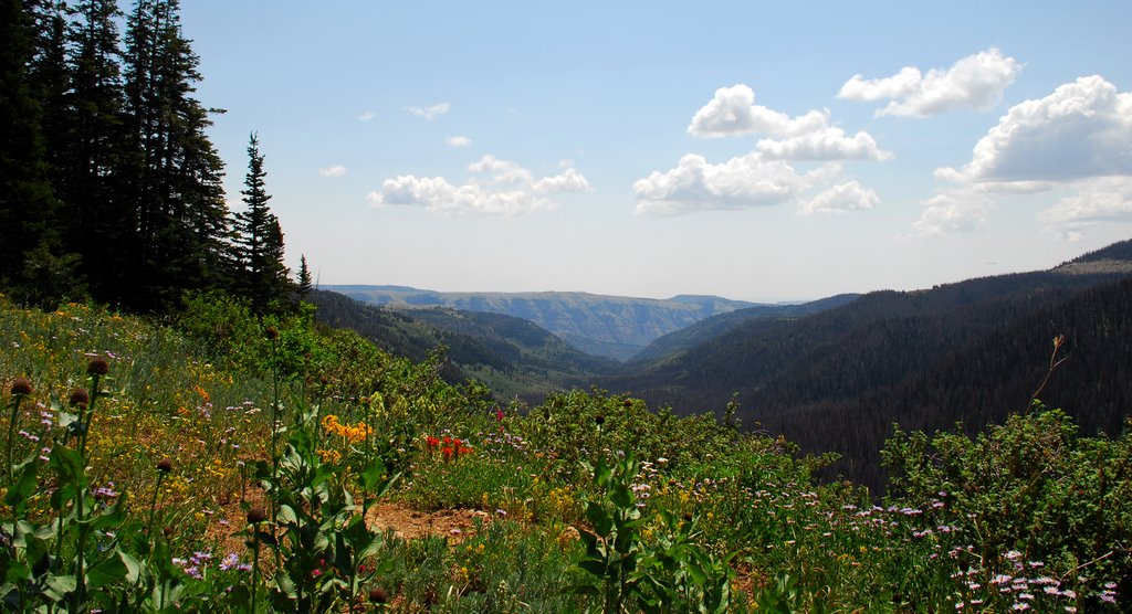 Utah Manti Unit Profile // GOHUNT. The Hunting Company