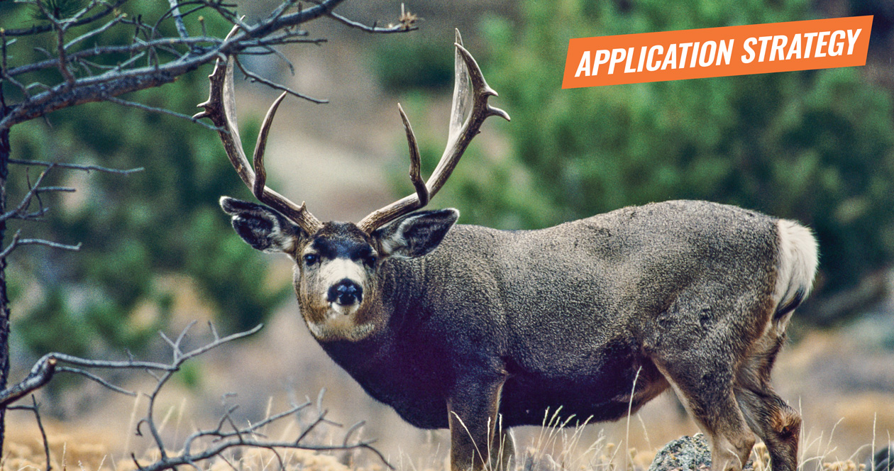 APPLICATION STRATEGY 2018: Arizona Deer, Sheep and Bison // GOHUNT. The ...