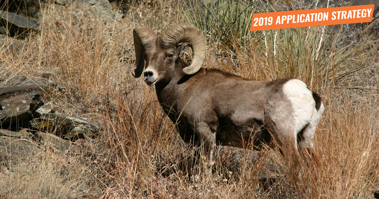 APPLICATION STRATEGY 2019: Oregon Bighorn Sheep and Mountain Goat // GOHUNT. The Hunting Company