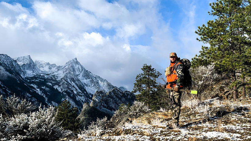 Magnificent mule deer and why mere mortals chase them // GOHUNT. The ...
