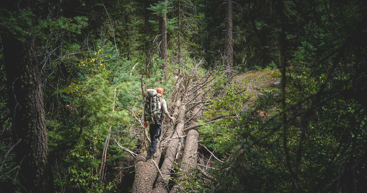 Stay dry and safe: Proven methods for assessing stream crossings when ...
