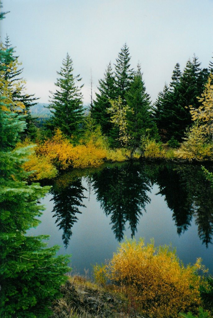 Oregon Unit 54 - Mt Emily Unit Profile // GOHUNT. The Hunting Company