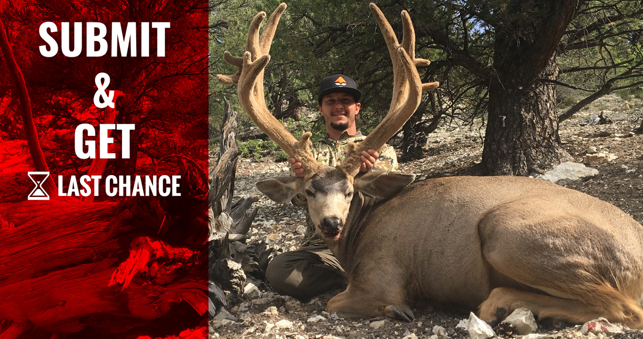 Share your photos and HUNT stories — get free gear // GOHUNT. The ...