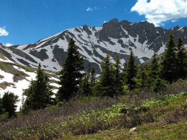 Colorado Unit 37 Unit Profile // GOHUNT. The Hunting Company