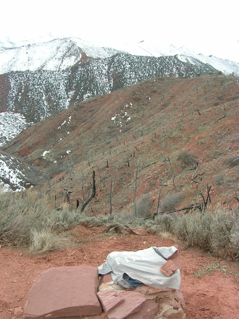 Colorado Unit 42 Unit Profile // GOHUNT. The Hunting Company