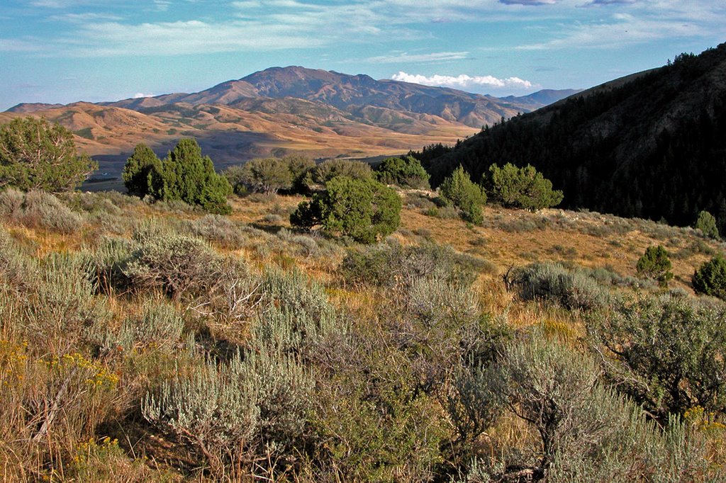 Idaho Unit 73 Unit Profile // GOHUNT. The Hunting Company