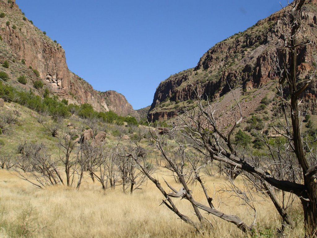 New Mexico Unit 6C Unit Profile // GOHUNT. The Hunting Company