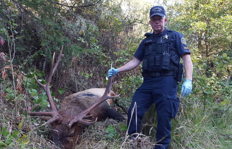Oregon asks public for help in nabbing poacher // GOHUNT. The Hunting ...