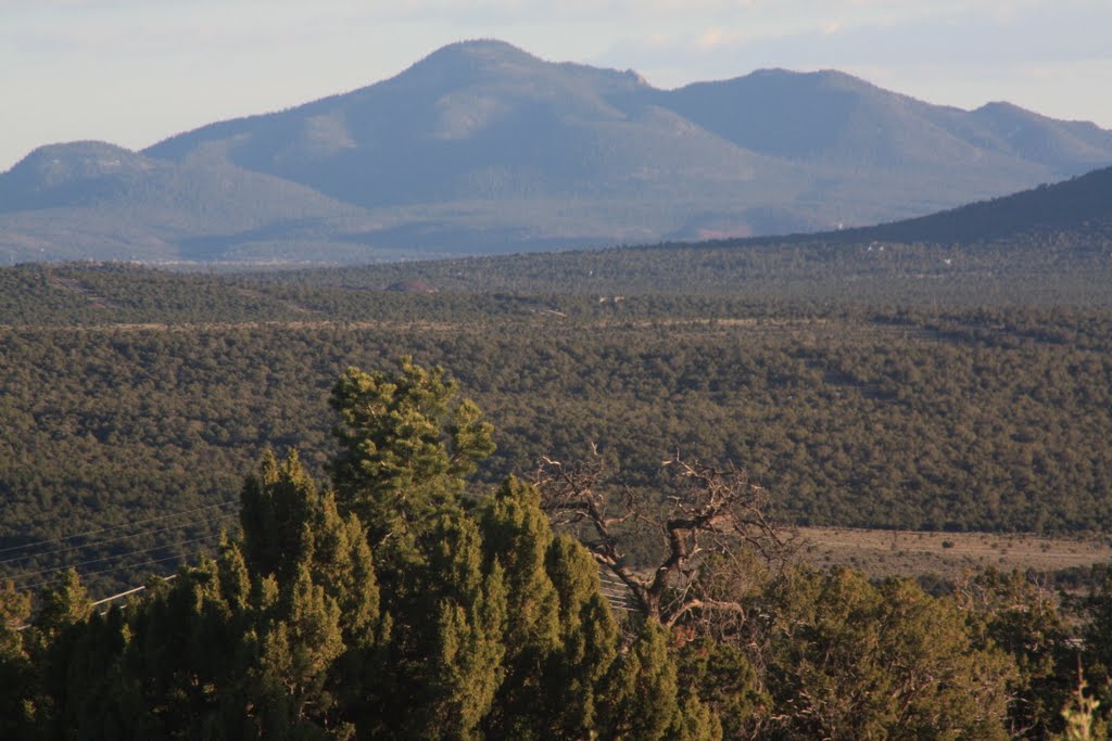 Arizona Unit 8 Unit Profile // GOHUNT. The Hunting Company