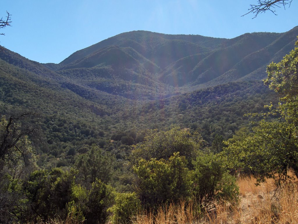 Arizona Unit 35A Unit Profile // GOHUNT. The Hunting Company