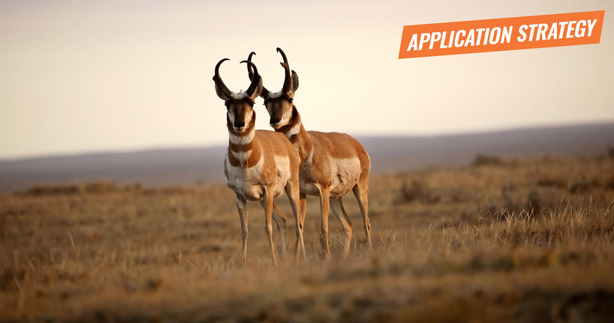 APPLICATION STRATEGY 2018: Montana Antelope // GOHUNT. The Hunting Company