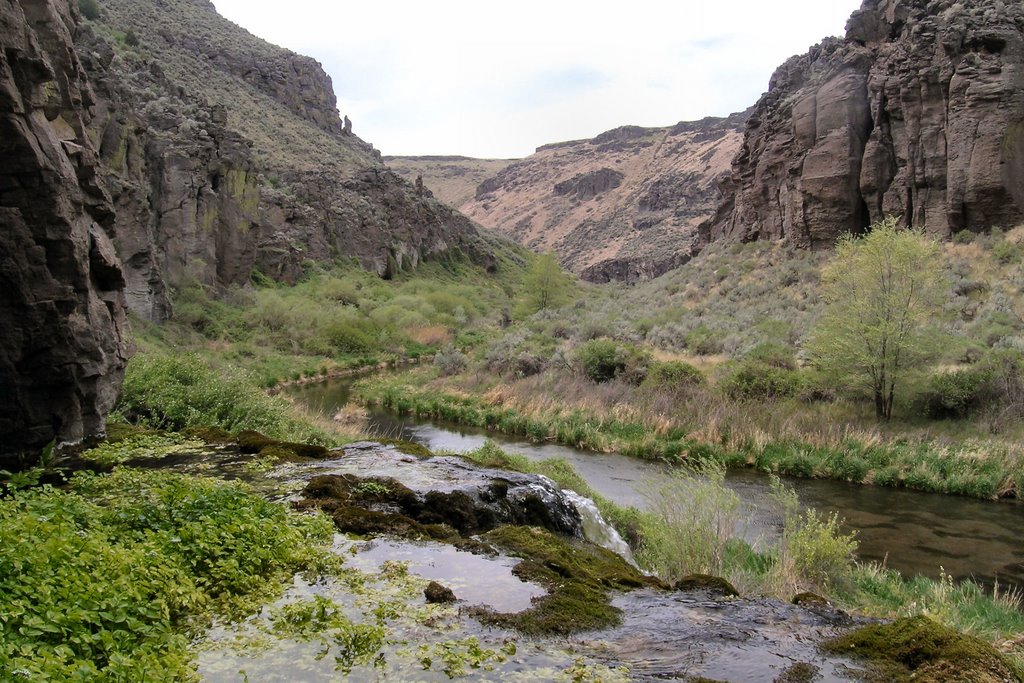 Idaho Unit 46 Unit Profile // GOHUNT. The Hunting Company