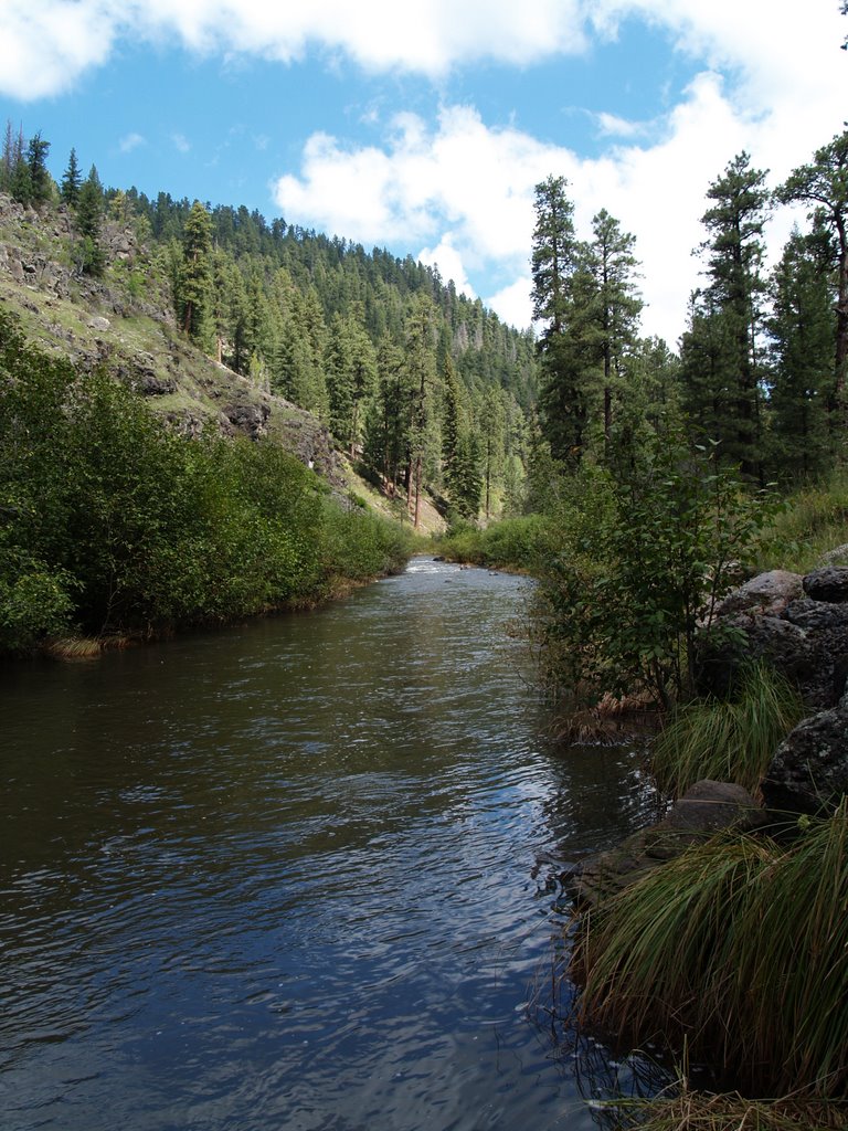 Arizona Unit 1 Unit Profile // GOHUNT. The Hunting Company