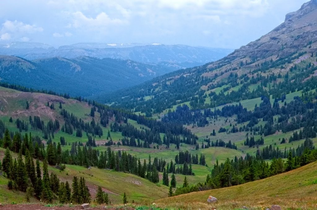 Wyoming Area 112 - Ishawooa Unit Profile // GOHUNT. The Hunting Company