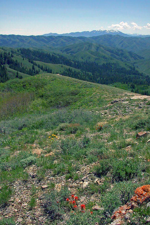 Idaho Unit 56 Unit Profile // GOHUNT. The Hunting Company