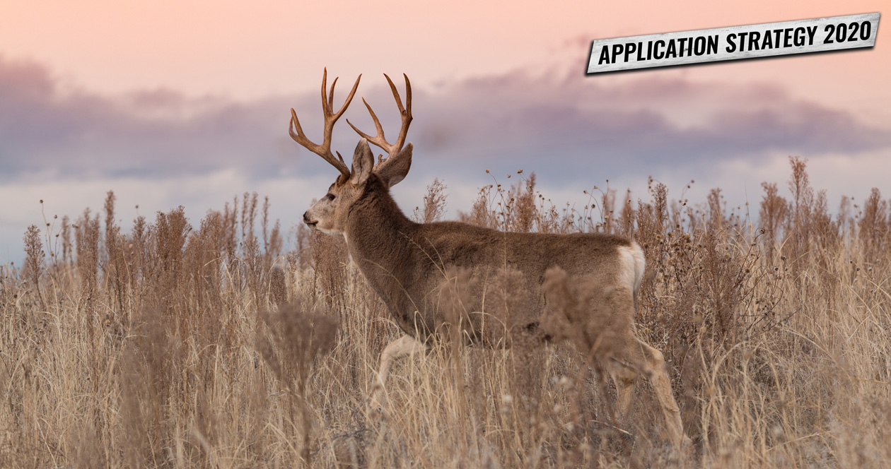 APPLICATION STRATEGY 2020: Utah Mule Deer