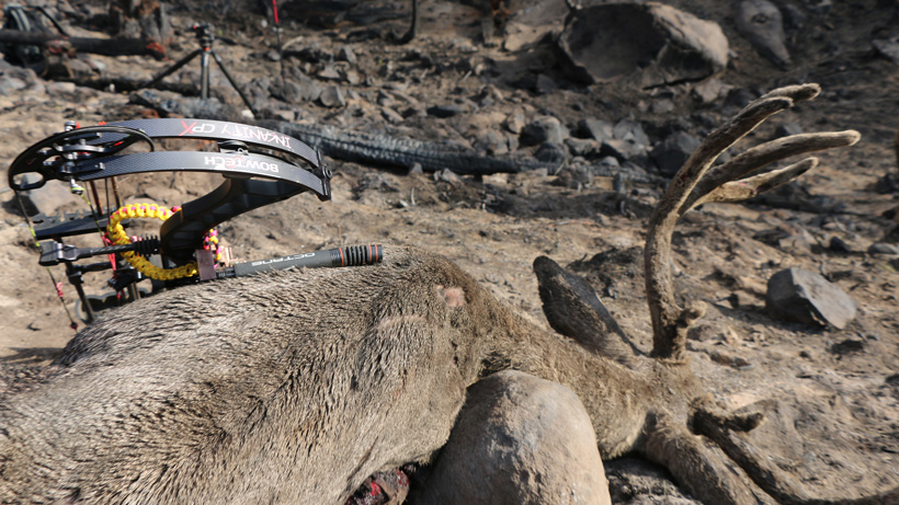 True Conservation: A Mule Deer Film // GOHUNT. The Hunting Company