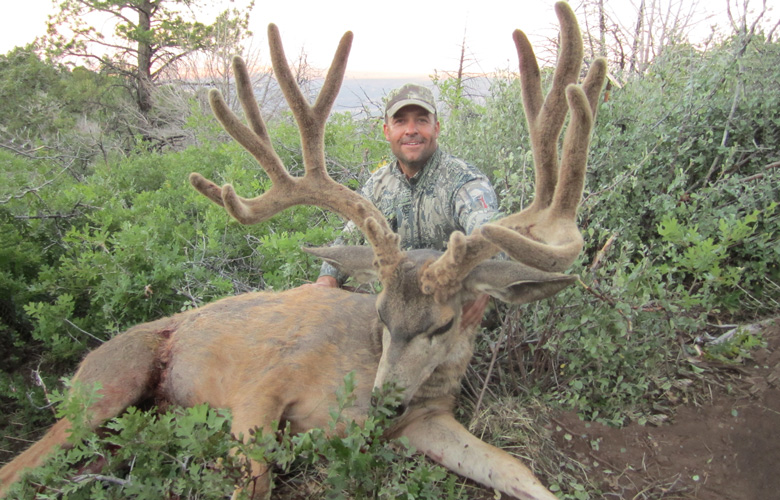 The impact of Arizona’s 2016 draw change // GOHUNT. The Hunting Company