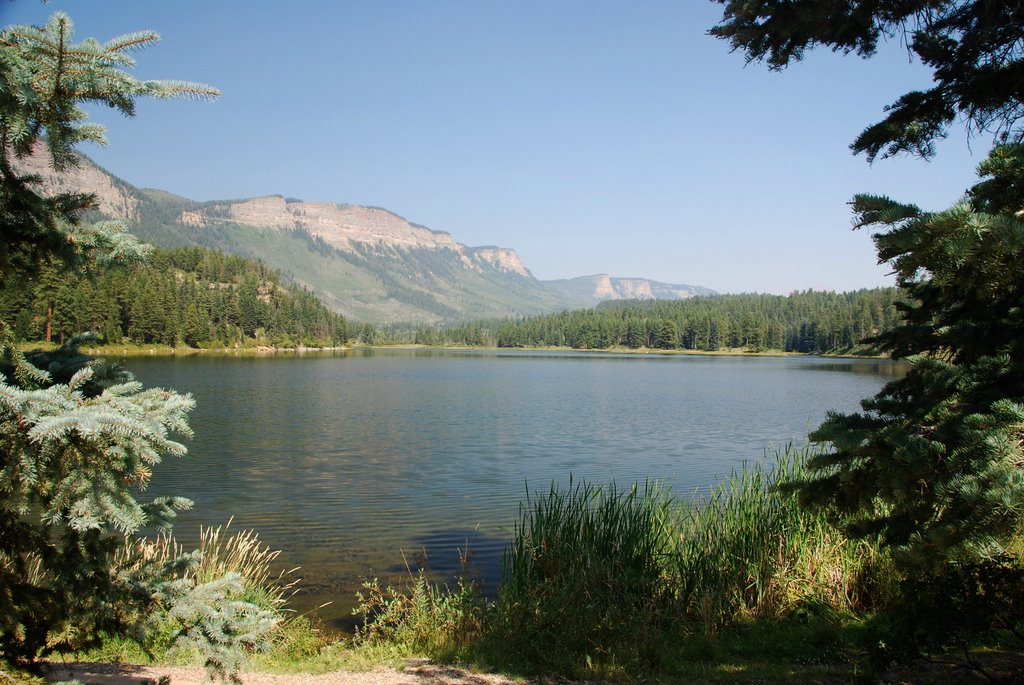 Colorado Unit S71 Unit Profile // GOHUNT. The Hunting Company