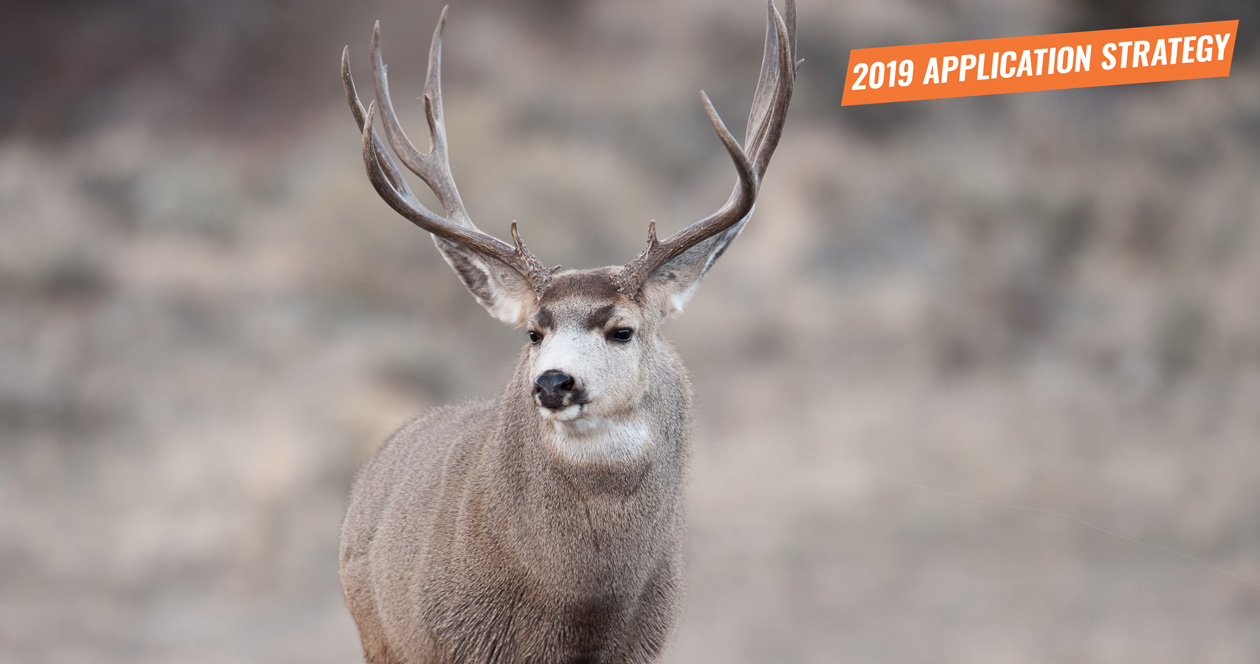 APPLICATION STRATEGY 2019: Nevada Mule Deer // GOHUNT. The Hunting Company