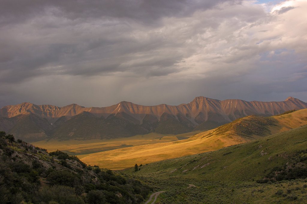 Idaho Unit 37 Unit Profile // GOHUNT. The Hunting Company