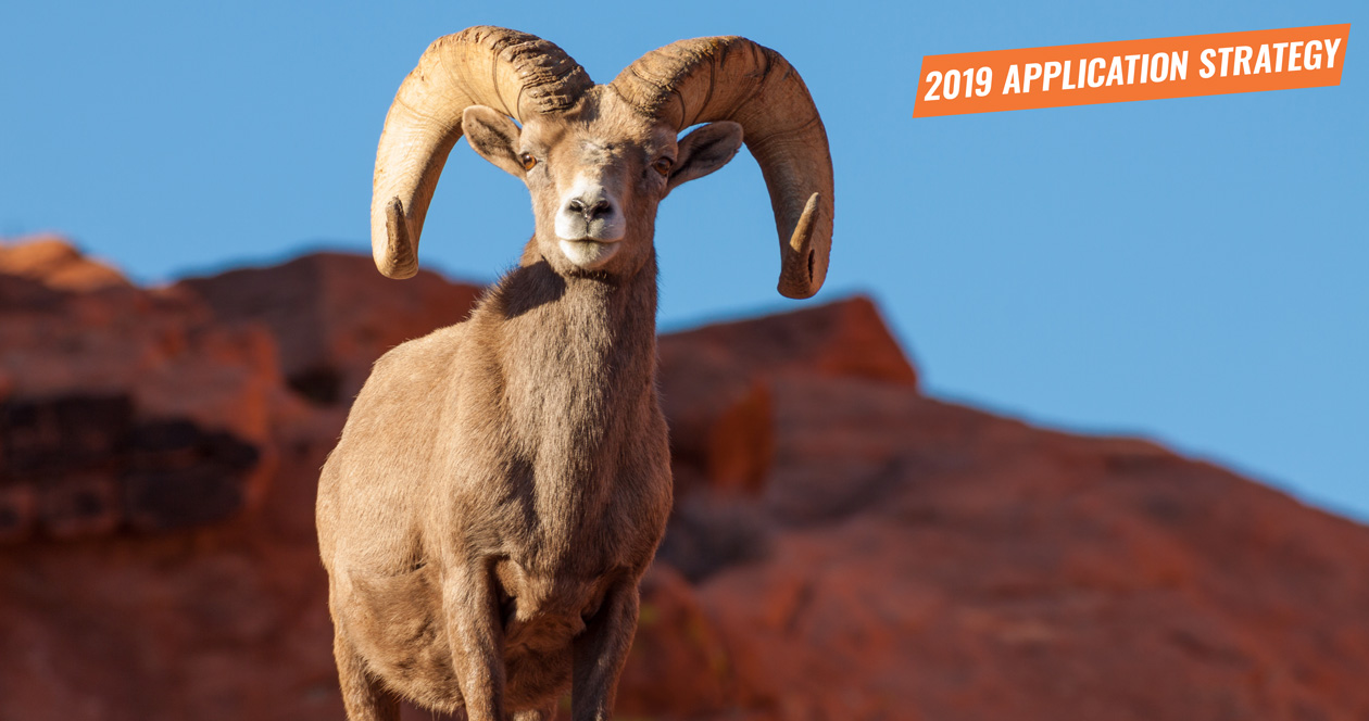 APPLICATION STRATEGY 2019: Nevada Sheep and Mountain Goat // GOHUNT. The Hunting Company