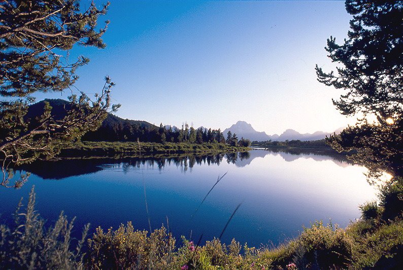 Wyoming Area 70 - Buffalo Fork Unit Profile // GOHUNT. The Hunting Company