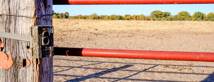 Getting the most out of your trail camera scouting // GOHUNT. The ...