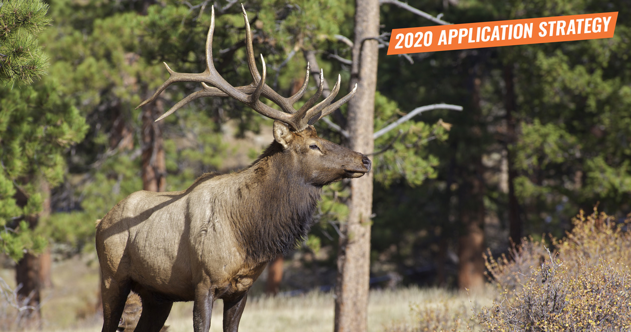 APPLICATION STRATEGY 2020: Arizona Elk - Sample // GOHUNT. The Hunting Company