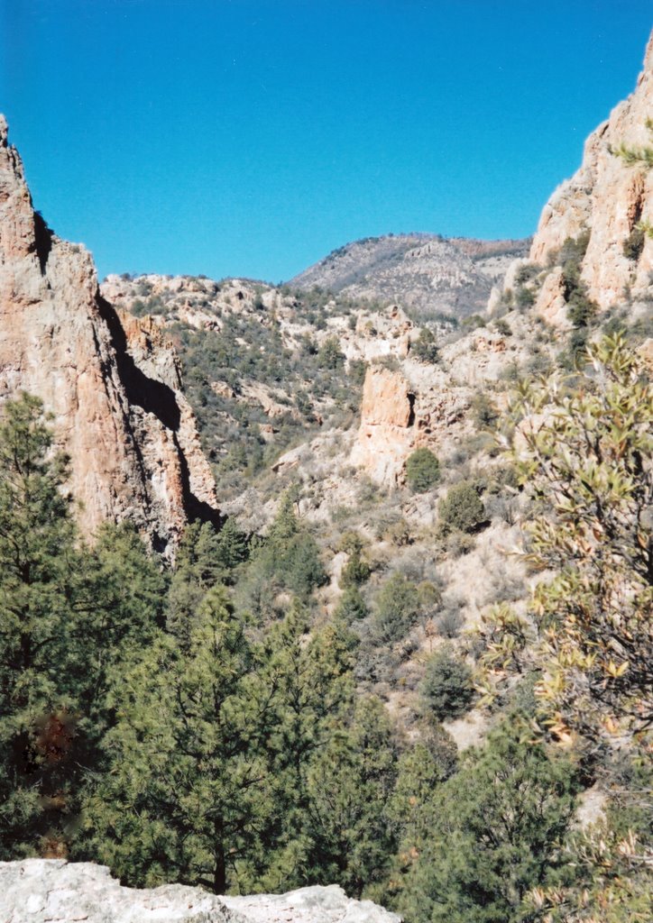 New Mexico Unit 21A Unit Profile // GOHUNT. The Hunting Company