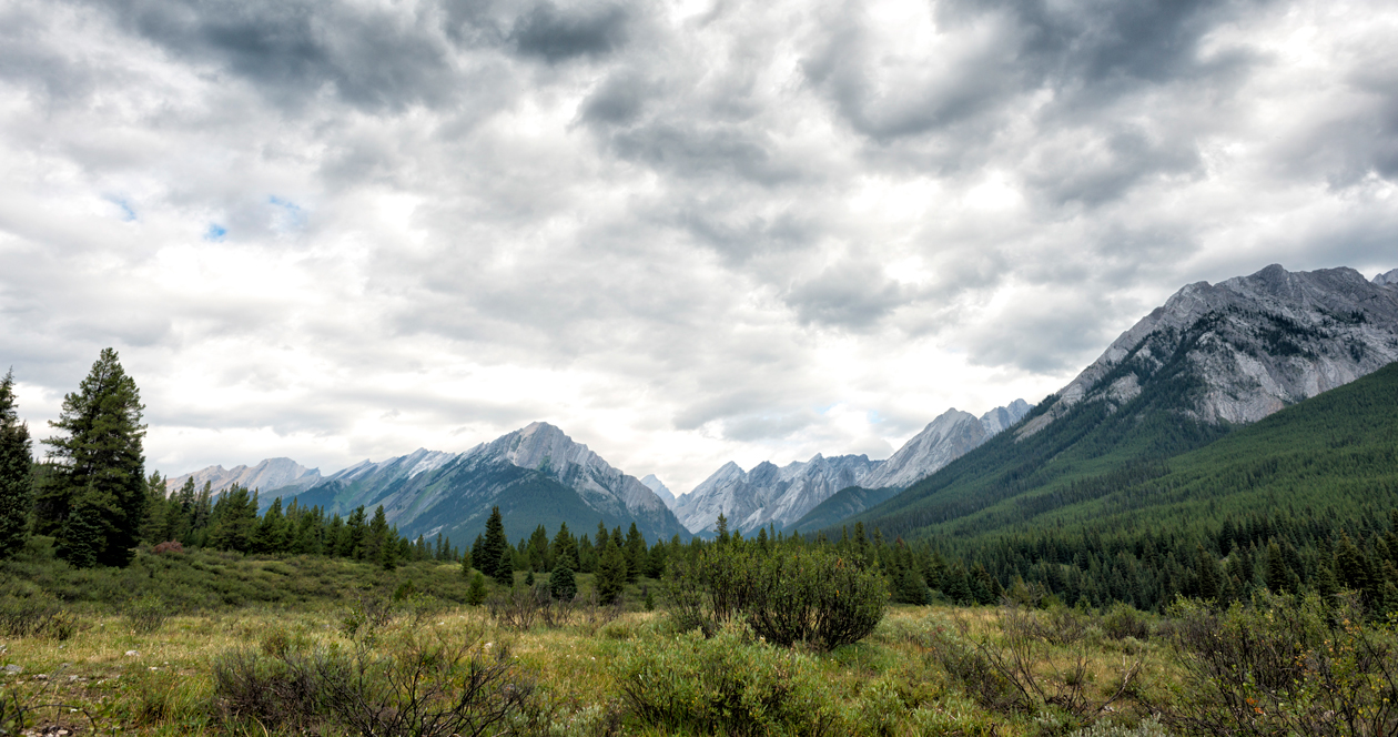 Hunter numbers dwindling across the US, not in the West // GOHUNT. The ...