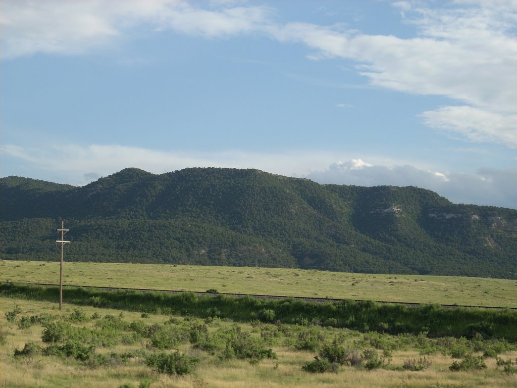 Colorado Unit 141 Unit Profile // GOHUNT. The Hunting Company