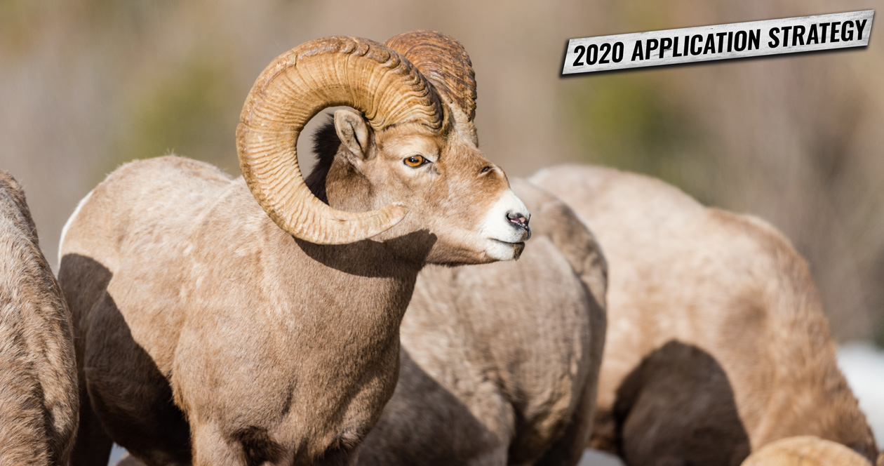APPLICATION STRATEGY 2020: New Mexico Sheep & Antelope // GOHUNT. The Hunting Company