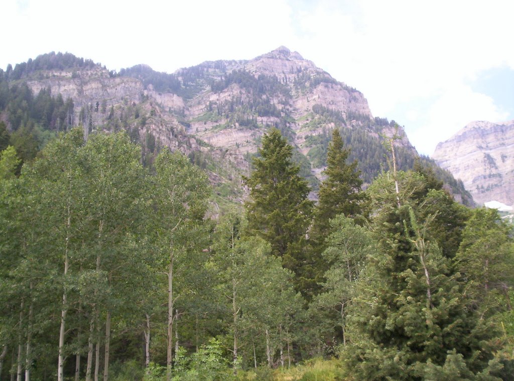Utah Wasatch Mtns, West Unit Profile // GOHUNT. The Hunting Company