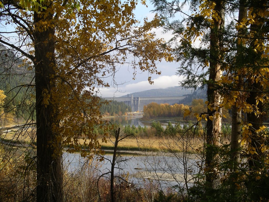 Montana Hunt District 103 Unit Profile // GOHUNT. The Hunting Company