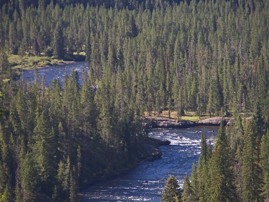 Idaho Unit 62 Unit Profile // GOHUNT. The Hunting Company