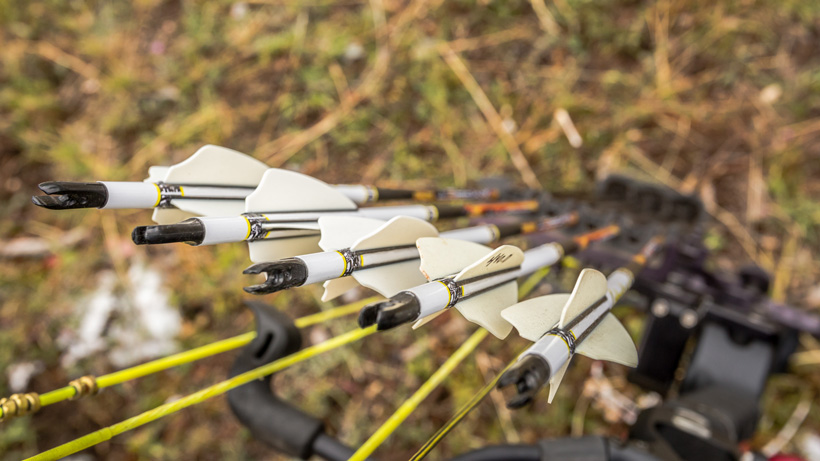 7 steps to cut noise for a quieter hunting bow // GOHUNT. The Hunting ...