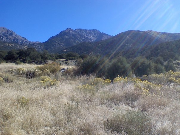 Colorado Unit 86 Unit Profile // GOHUNT. The Hunting Company