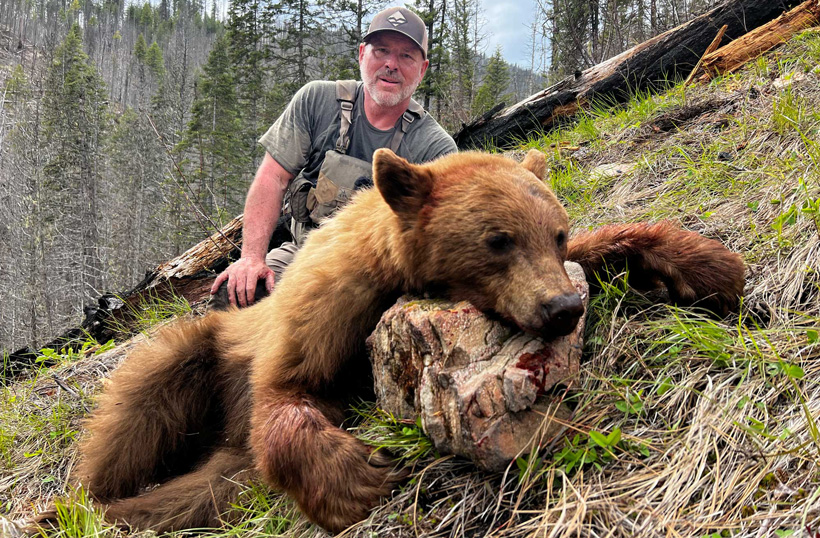 Five western spring bear tactics that move the success needle // GOHUNT ...