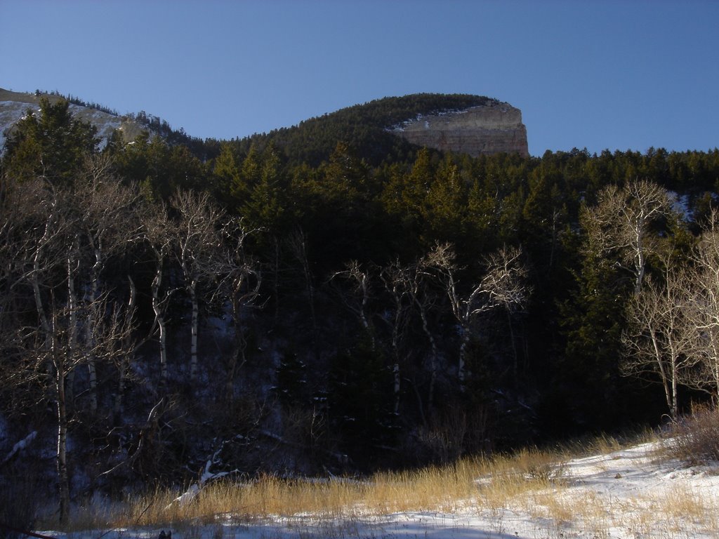 Wyoming Area 121 - Heart Mountain Unit Profile - 3 Hunters are talking ...
