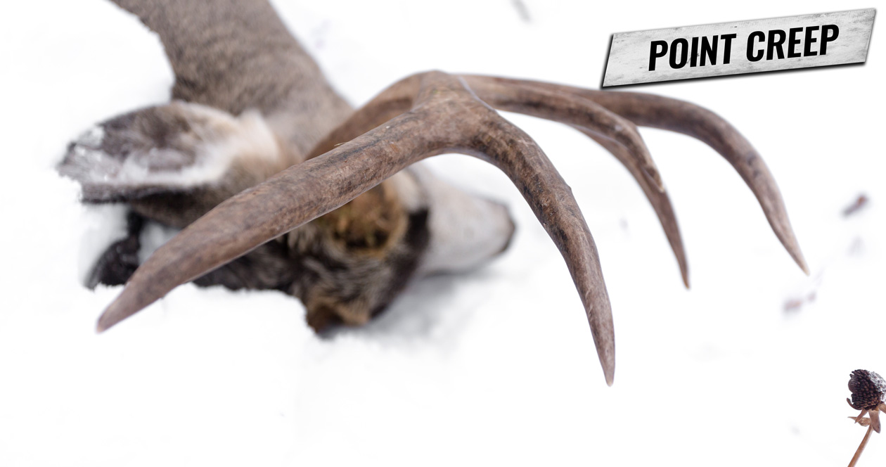 Point Creep — What is it and learn how it could impact you // GOHUNT ...