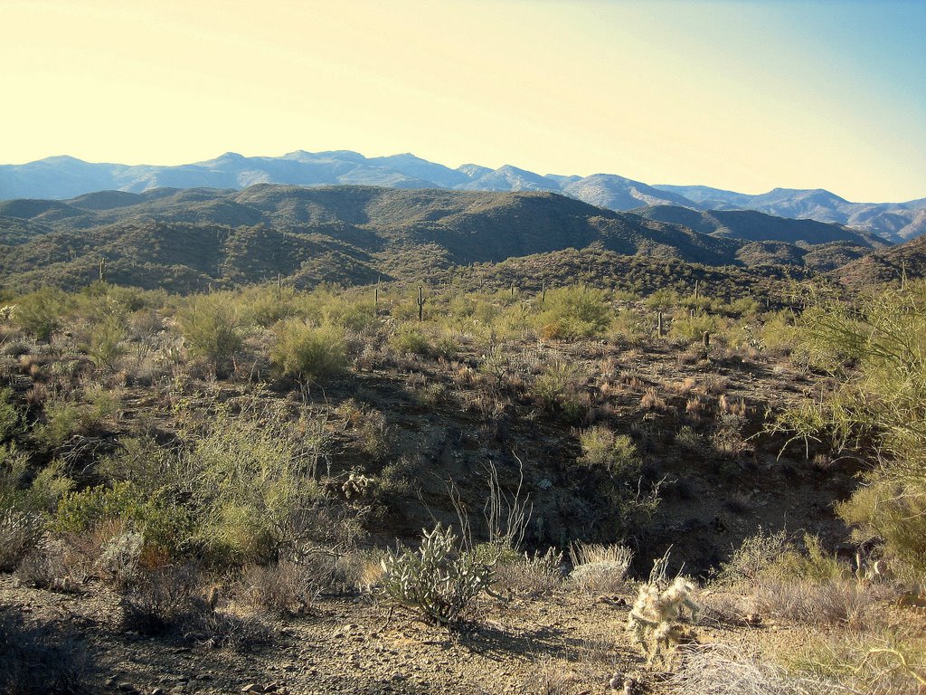 Arizona Unit 20A Unit Profile // GOHUNT. The Hunting Company