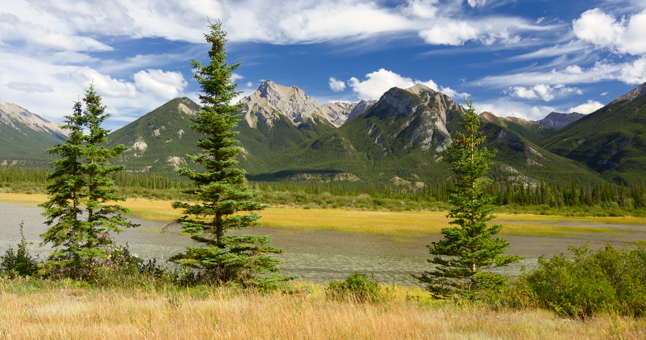 Canada border to open to Americans in August // GOHUNT. The Hunting Company